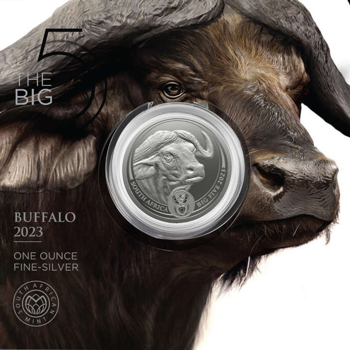 Big Five II: Buffalo 1 oz Silver 2023 | Metal Market Europe