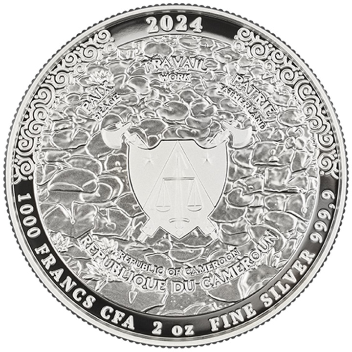 Cameroon: The Witcher Book Series - Sword of Destiny 2 oz Silver 2024 ...