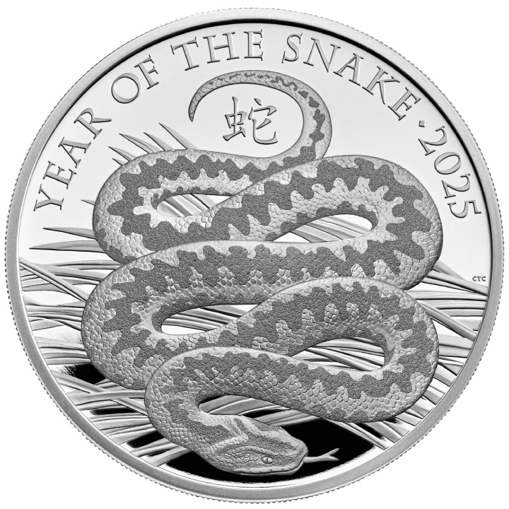 Royal Mint Lunar: Year of the Snake 1 oz Silver 2025 Proof | Metal ...