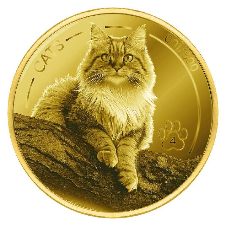 Fiji: Cats 1/2 oz Gold 2025 Prooflike | Metal Market Europe
