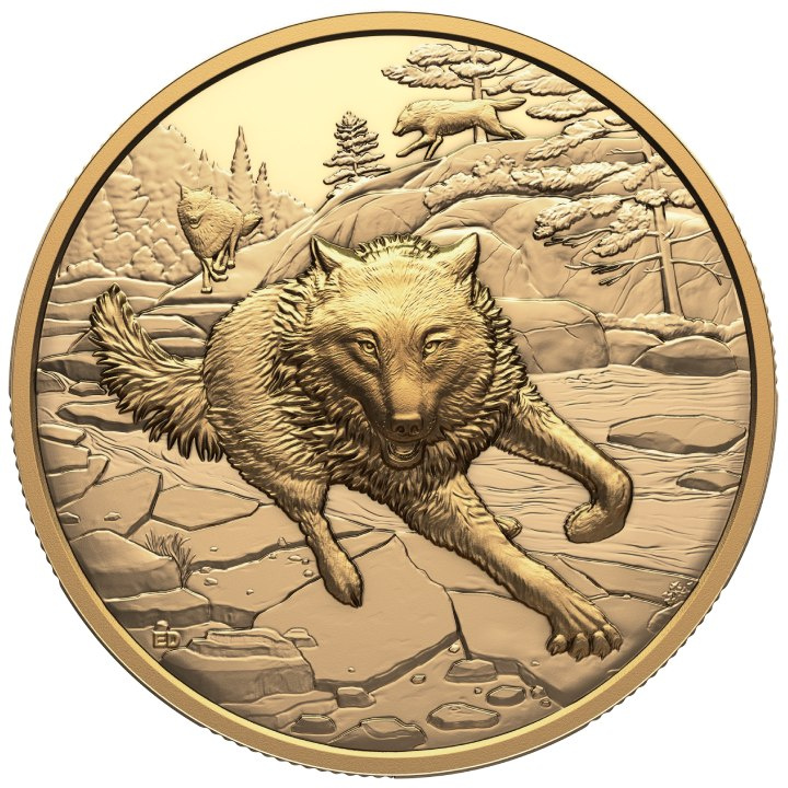 Canada: Great Hunters - Grey Wolf $200 Gold 2025 Proof Ultra High ...