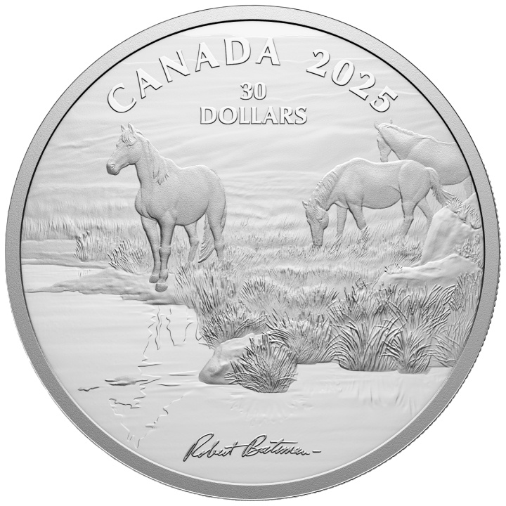 Canada: Mustang Country by Robert Bateman $30 Srebro 2025 Proof | Metal ...
