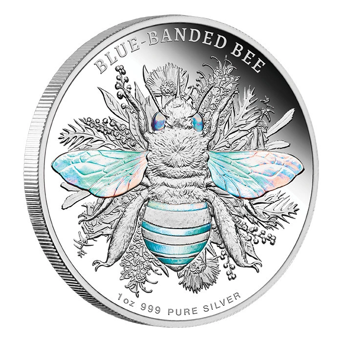 Niue: Australian Native Bees – Blue-banded Bee 1 oz Silver 2025 Proof ...