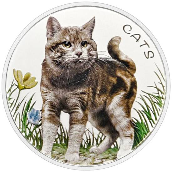 Fiji: Cats colored 1 oz Silver 2022 | Metal Market Europe