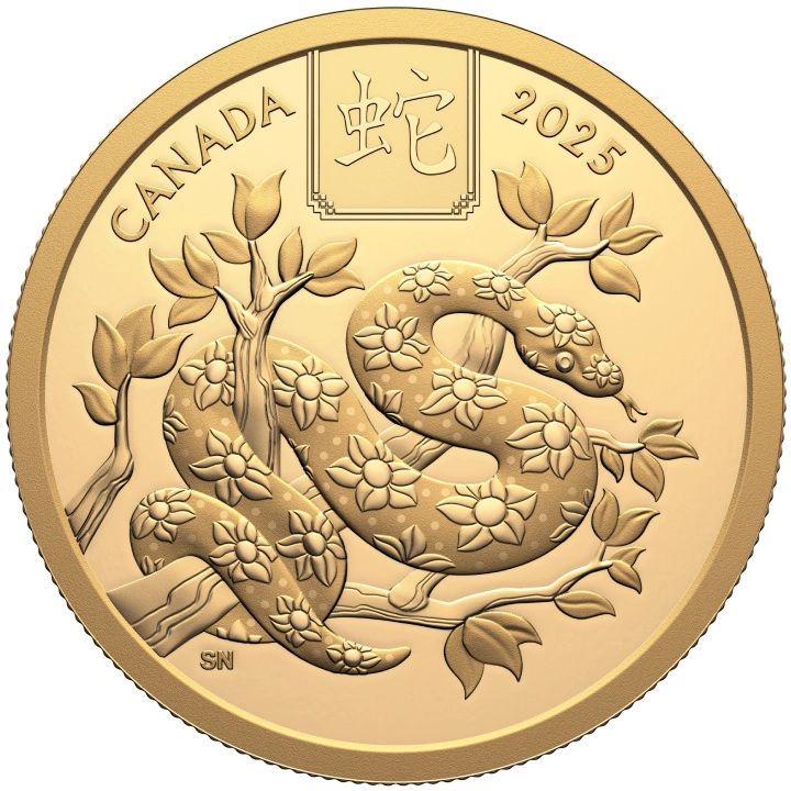 Canada: Lunar Year of the Snake $100 Złoto 2025 Proof | Metal Market Europe