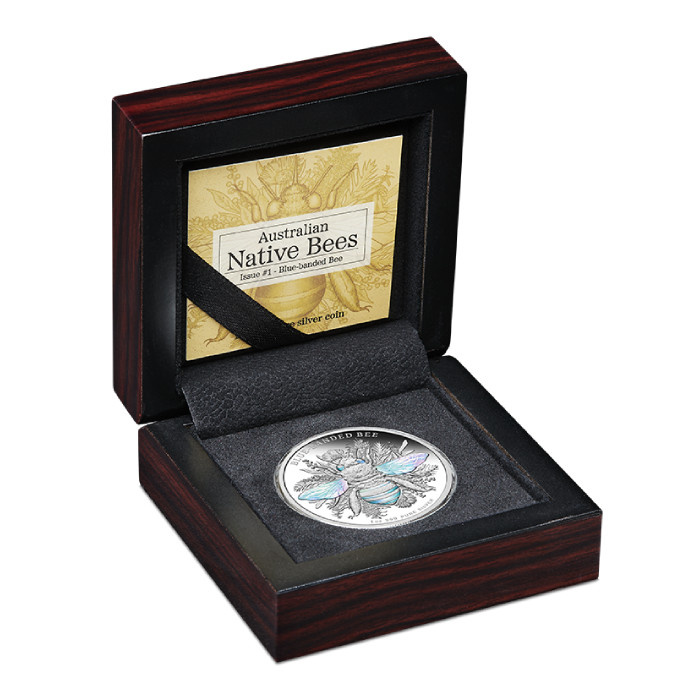 Niue: Australian Native Bees – Blue-banded Bee 1 Unze Silber 2025 Proof ...