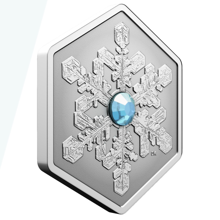 Canada: Snowflake $20 Srebro 2024 Reverse Proof | Metal Market Europe